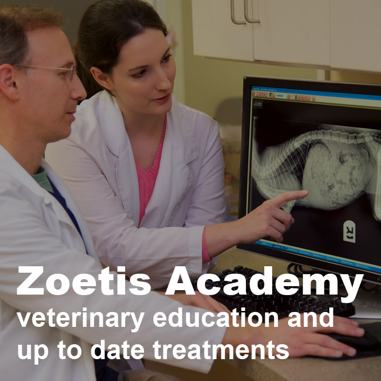Zoetis